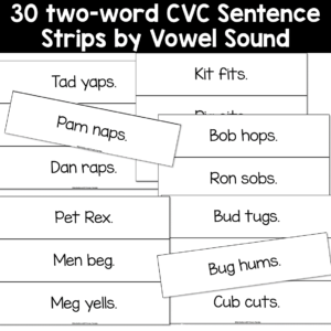 CVC Fluency Words to Sentences Science of Reading Aligned