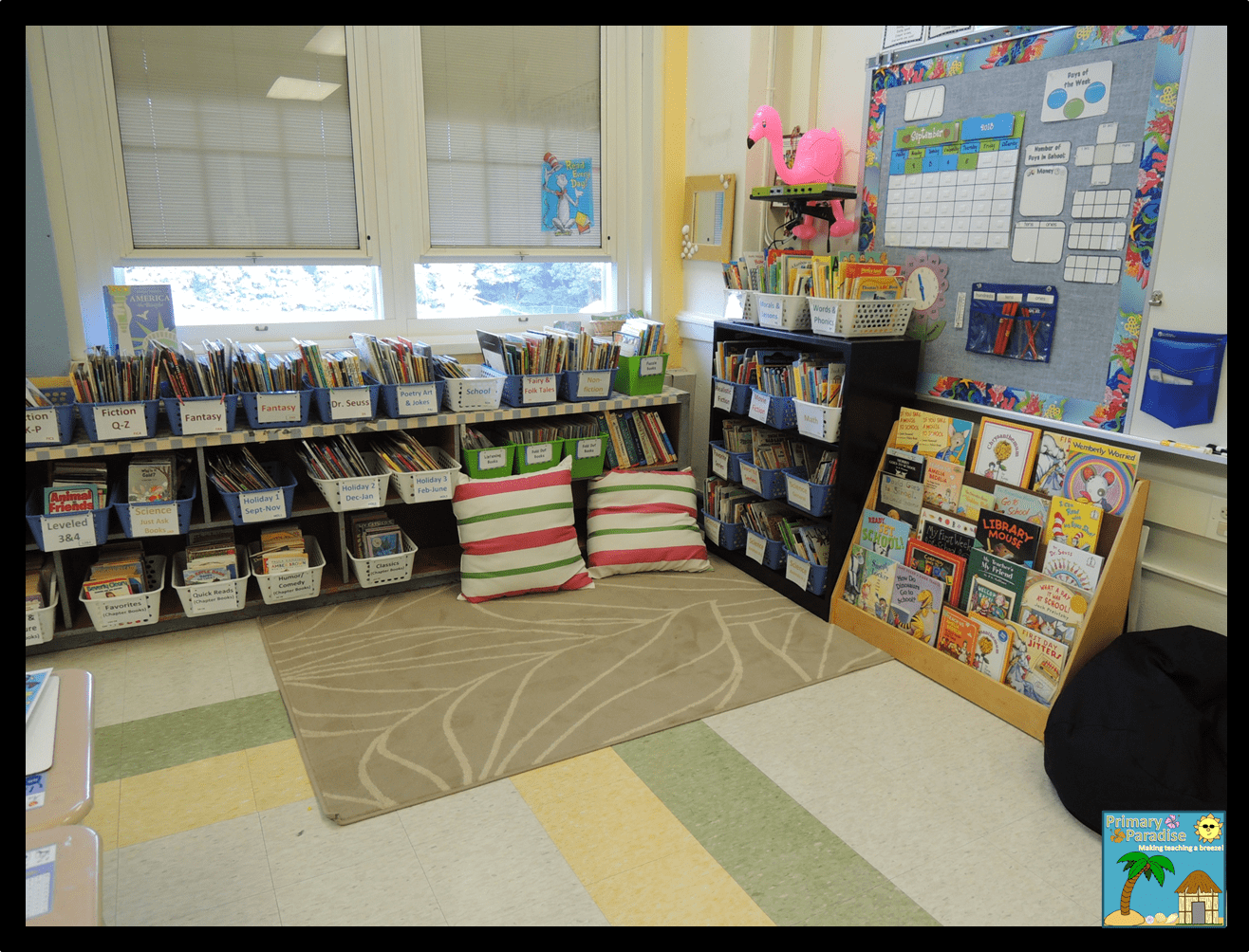 My 2nd Grade Tropical Classroom!