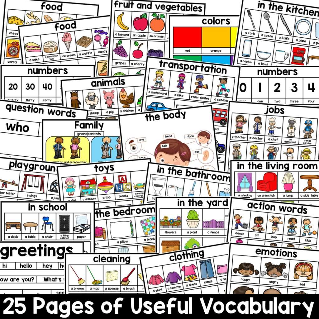 English Vocabulary Book or Posters with Visuals