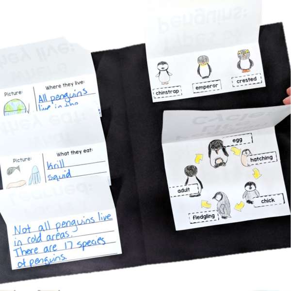 Penguin and Polar Bear Lapbooks for Winter Science